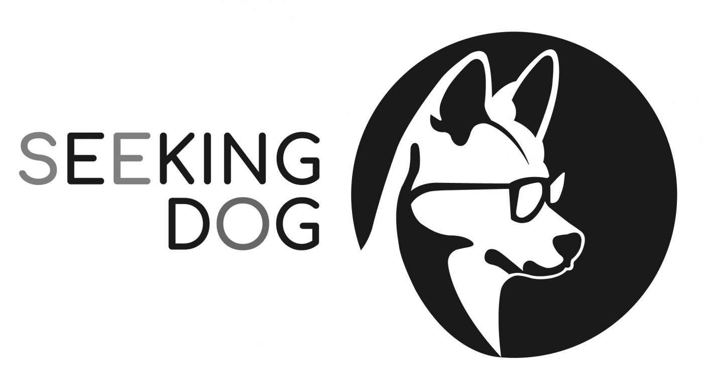 ¿Qué es ChatGPT 4o with canvas? - Seeking Dog